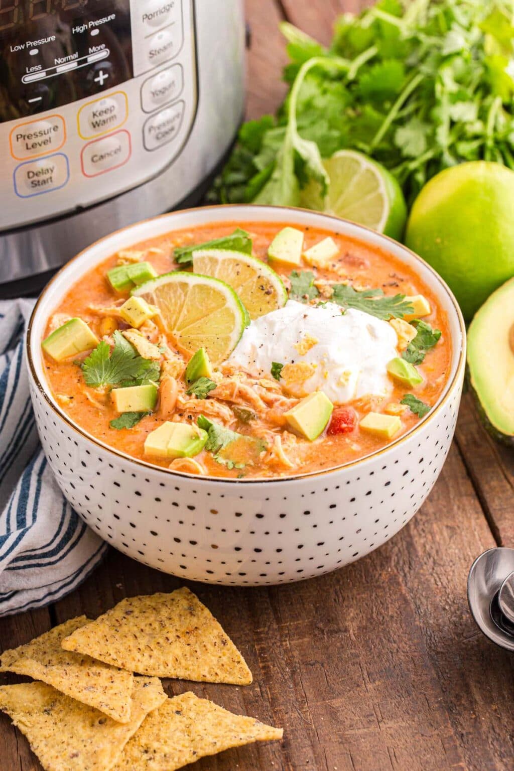 20+ Amazing Instant Pot Soup Recipes {stews and chilis too!}